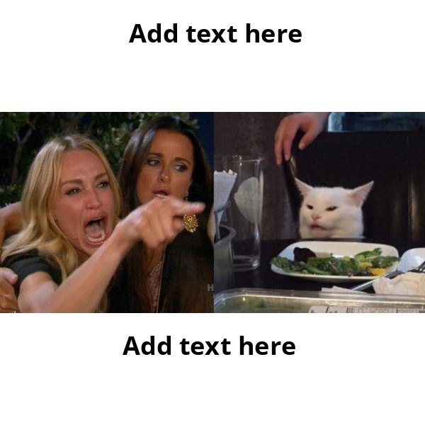 Yelling Woman Cat Meme Generator Meme Creator Funny You Can't